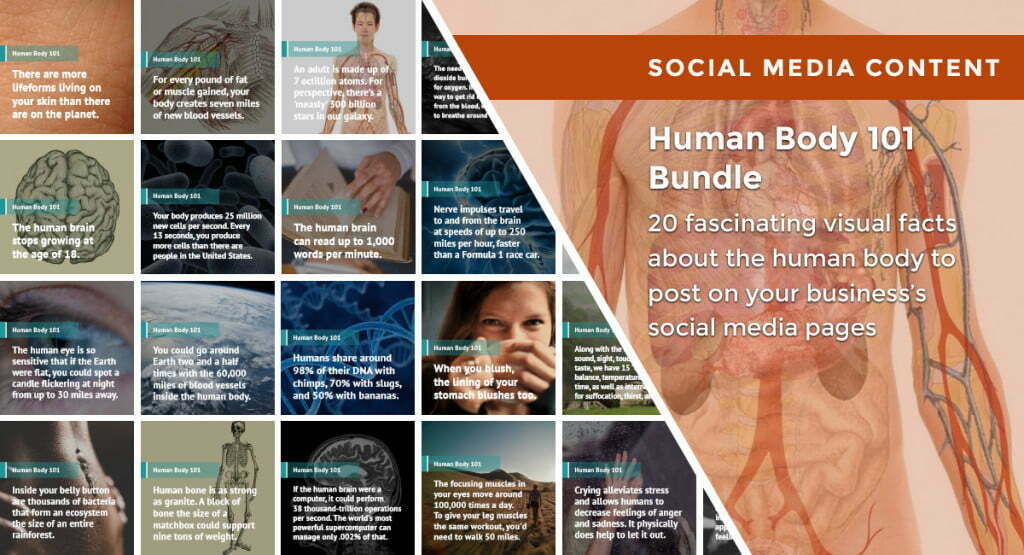 Human Body 101 Bundle - Healthinomics