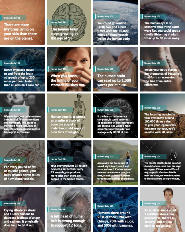 Human Body 101 Bundle - Healthinomics