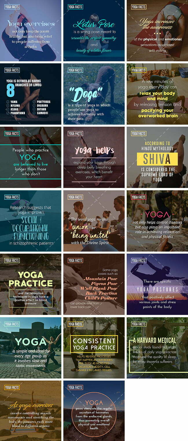 Yoga Facts Bundle - Healthinomics