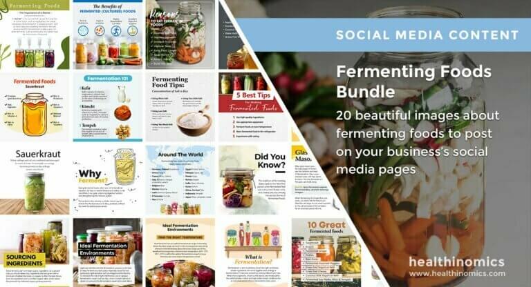 Fermenting Foods Bundle - Healthinomics